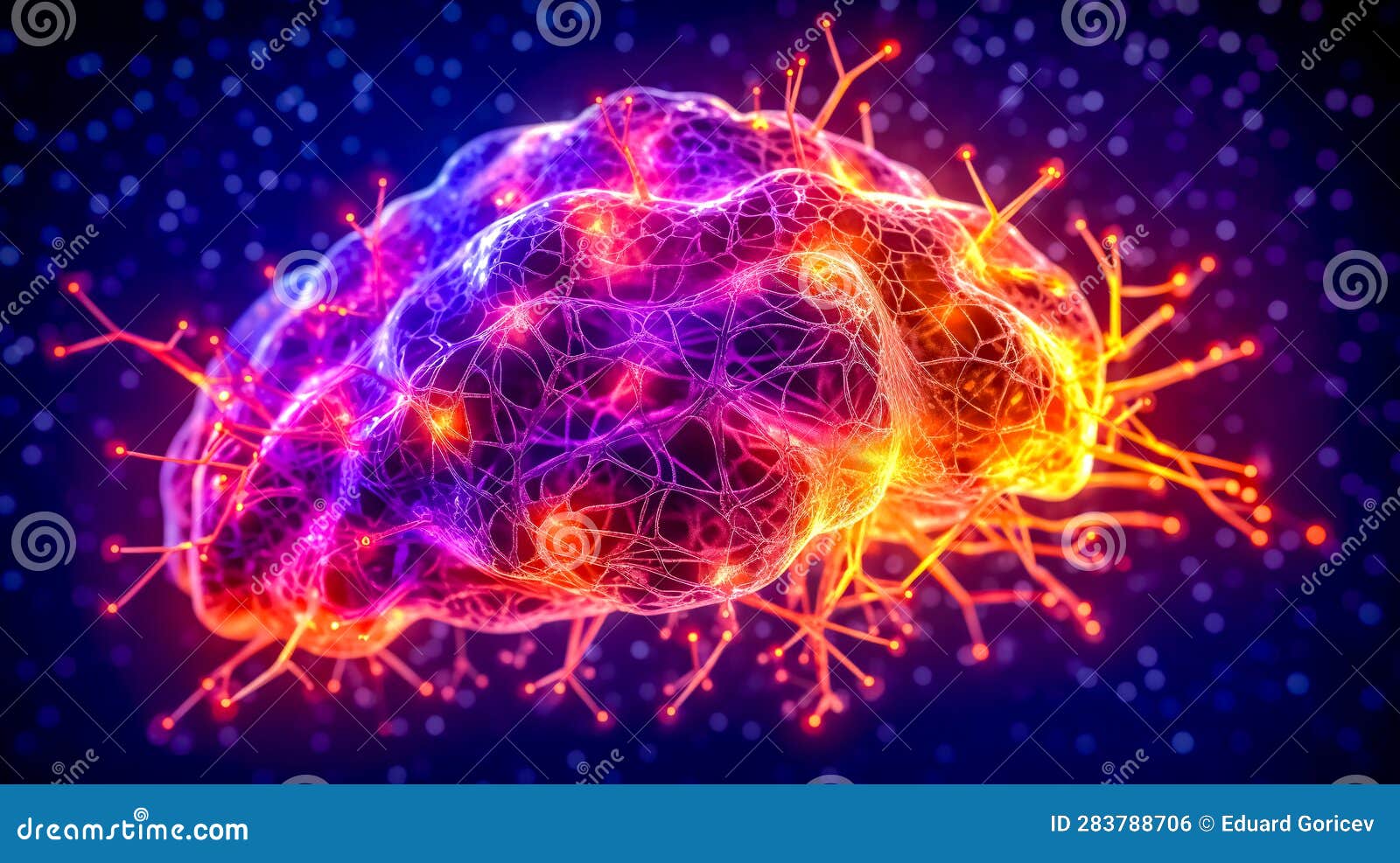 Neural Connection in the Brain, Neon Lights, Thinking and Intelligence ...