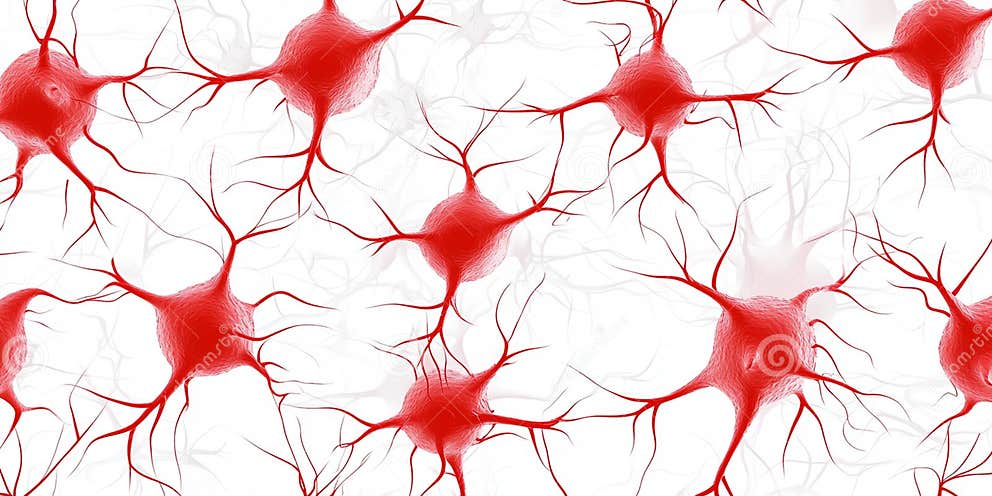 Neural Connections- Background of Neural - Neuro Cience and Technology ...