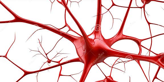 Neural Connections- Background of Neural - Neuro Cience and Technology ...