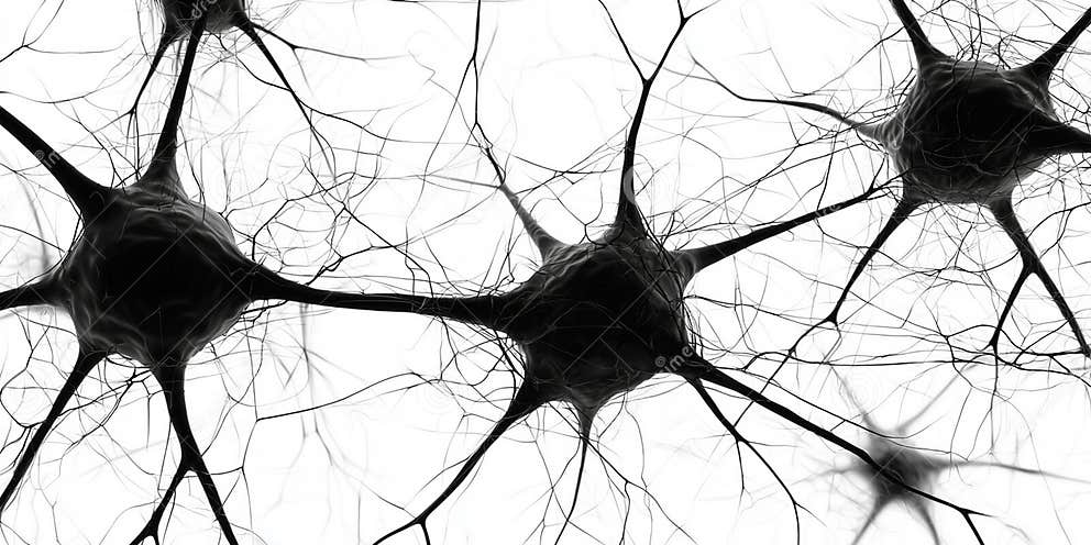 Neural Connections- Background of Neural - Neuro Cience and Technology ...
