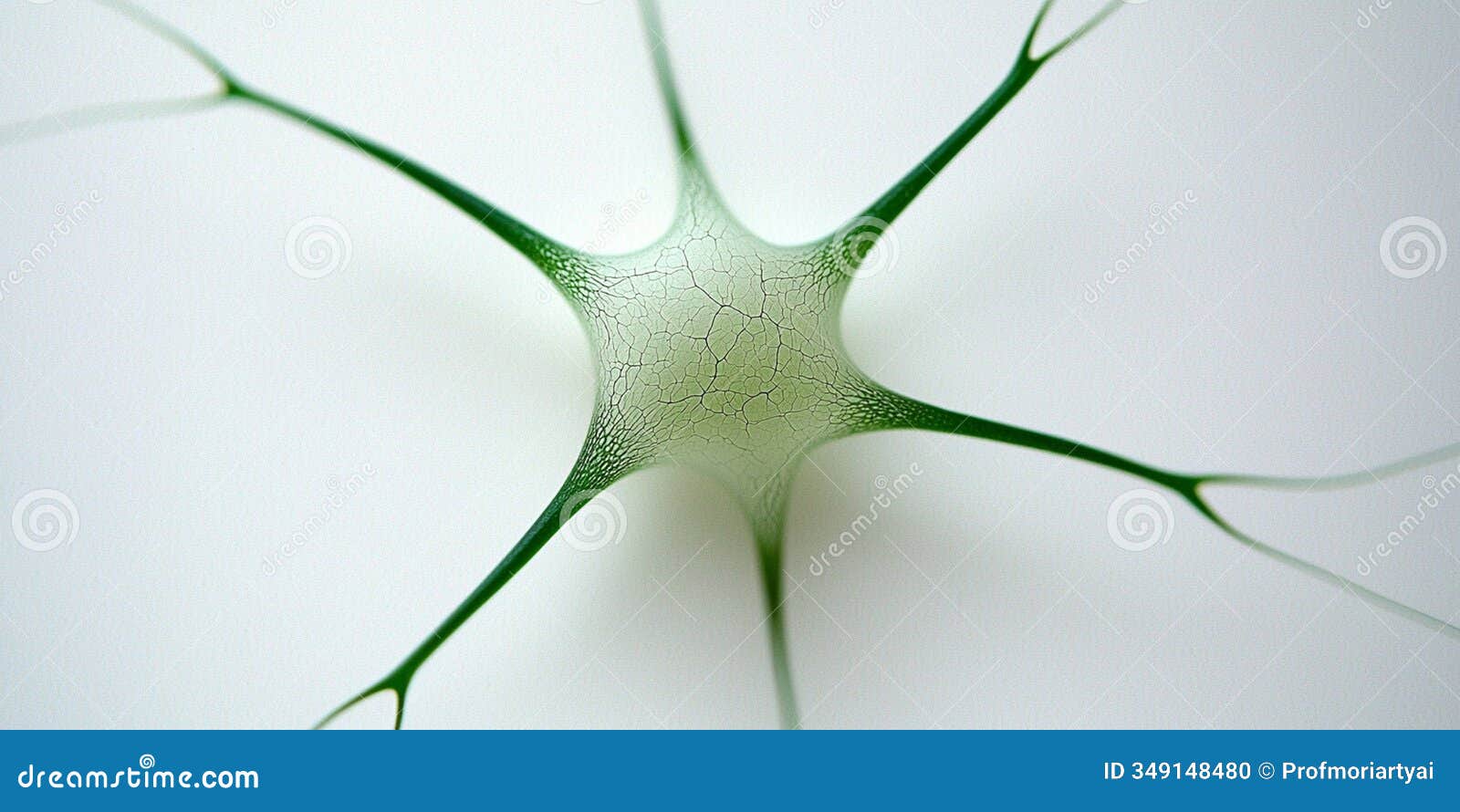 Neural Connections- Background of Neural - Neuro Cience and Technology ...