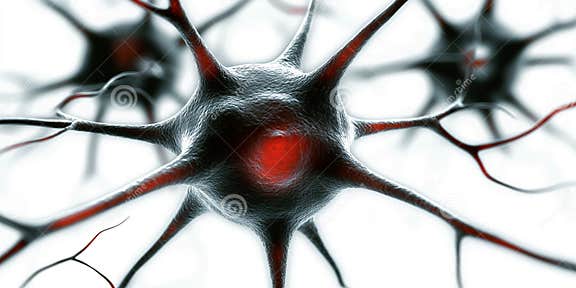 Neural Connections- Background of Neural - Neuro Cience and Technology ...