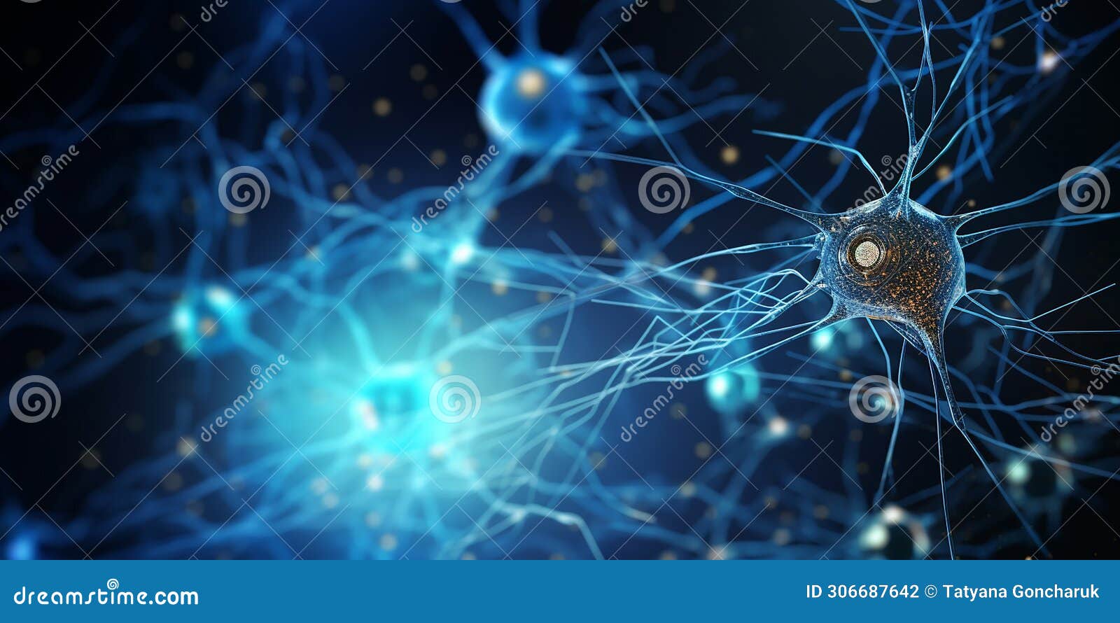 Neural Connections in the Brain. Stock Illustration - Illustration of ...
