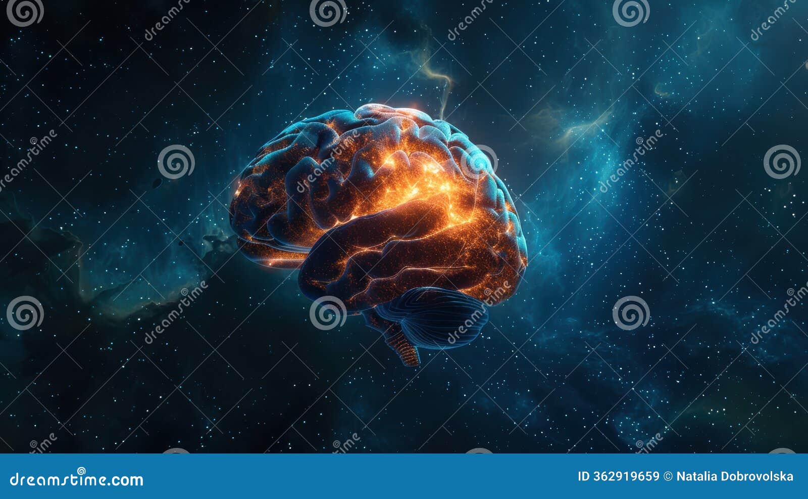 Neural Connections in the Brain Symbolizing Intelligence and Learning ...