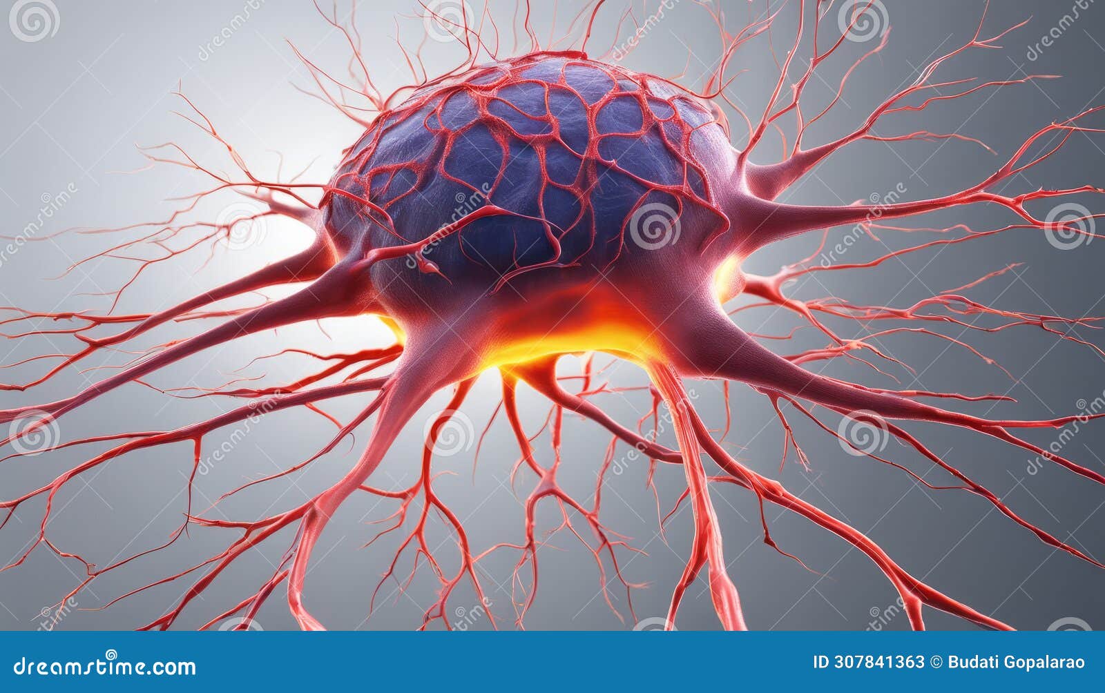 Neural Network in Action - a 3D Rendering of a Neuron with Dendrites ...