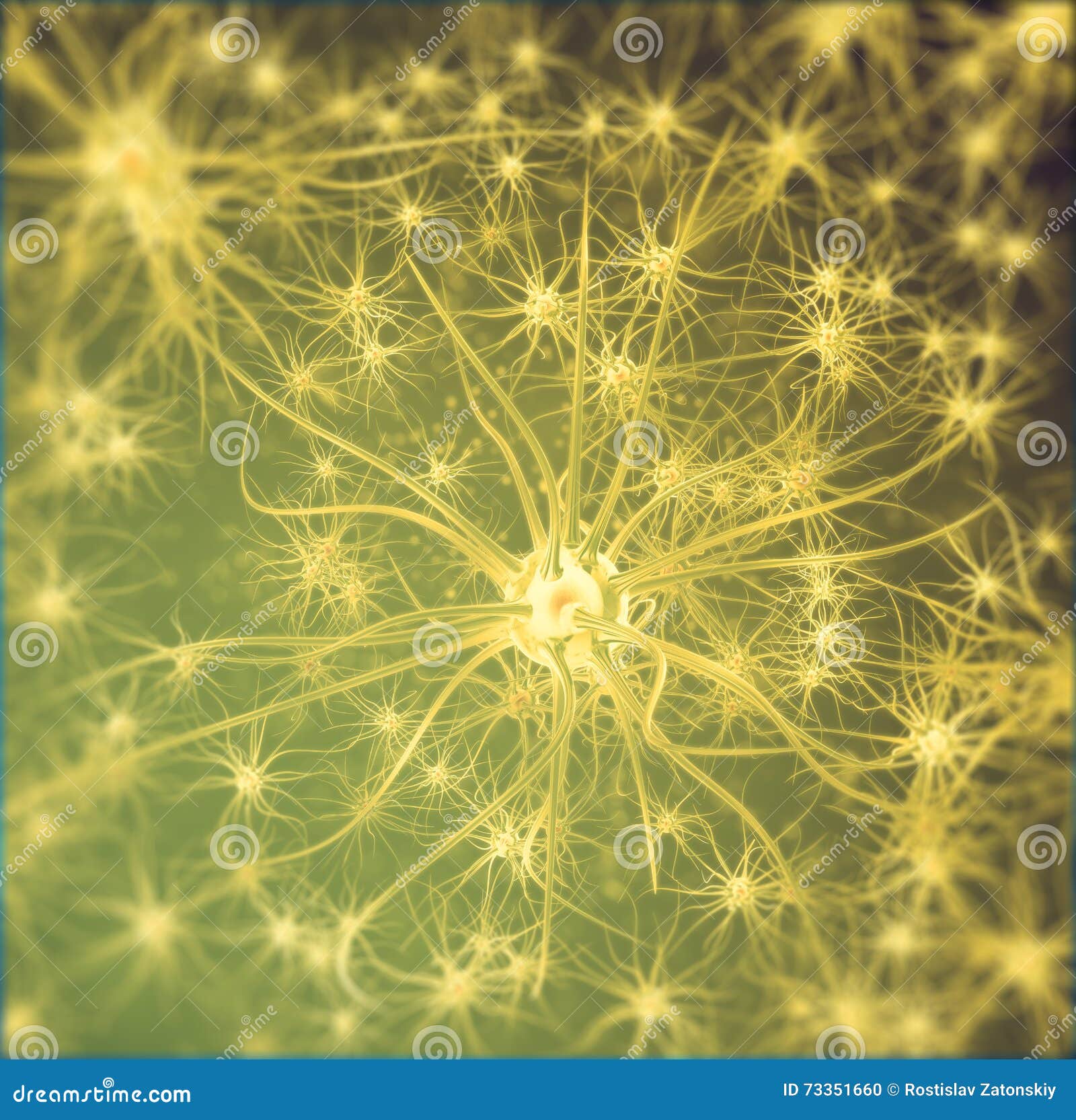 Neural Network, Brain Cells, Nervous System. 3d Illustration Stock ...