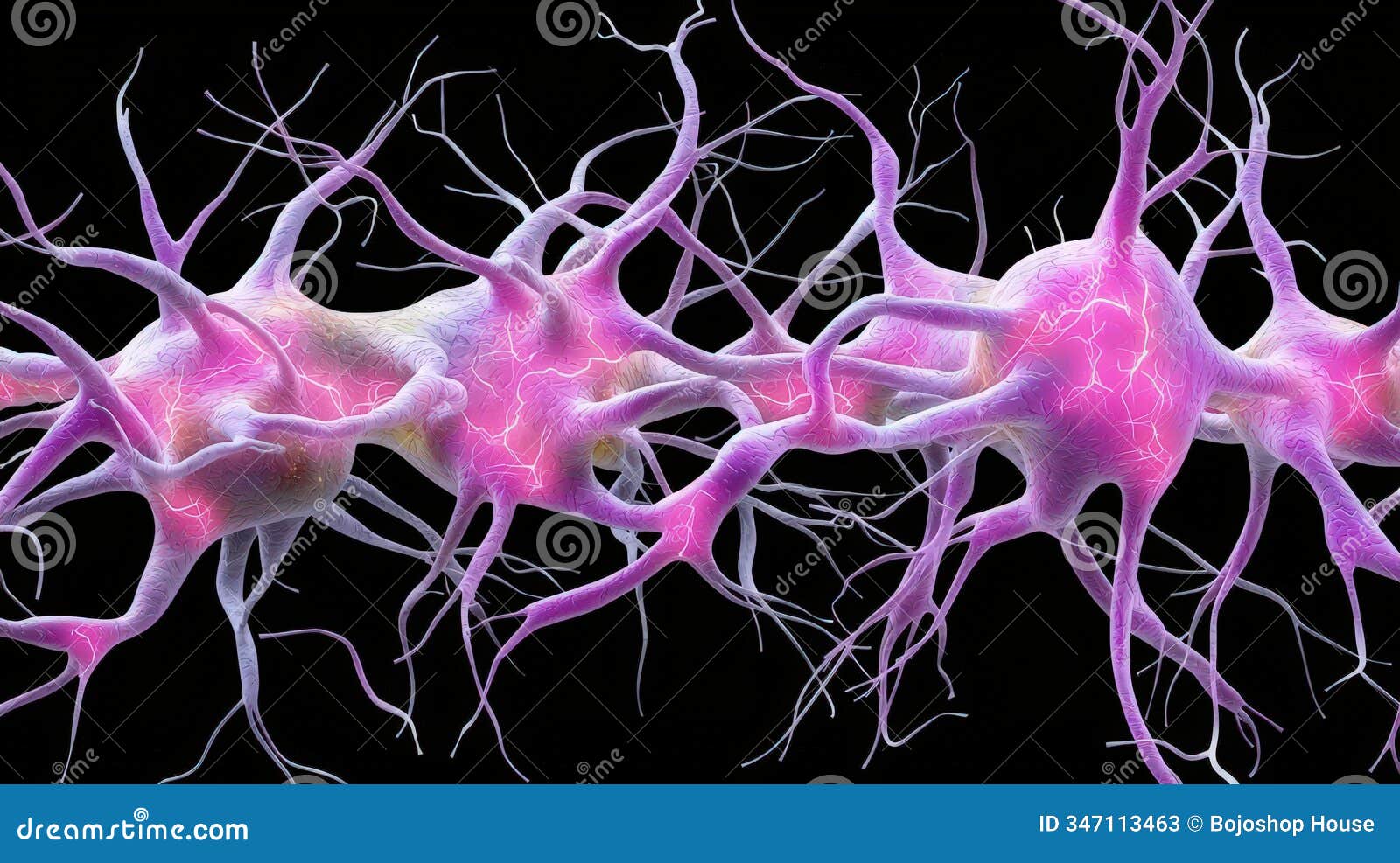 Neural Network Brain Cells Neuron Connections Synapses Microscopic ...