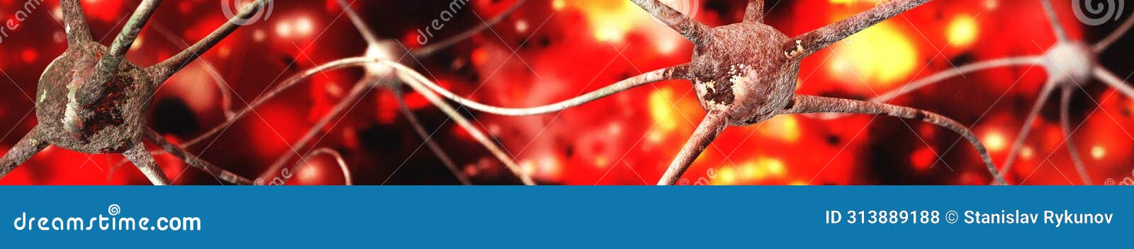 Neural Network of the Brain, Neuron Close-up Stock Photo - Image of ...