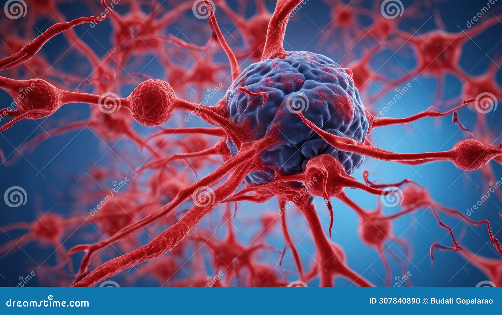 Neural Network with a Central Neuron, a Model of Brain Connectivity ...
