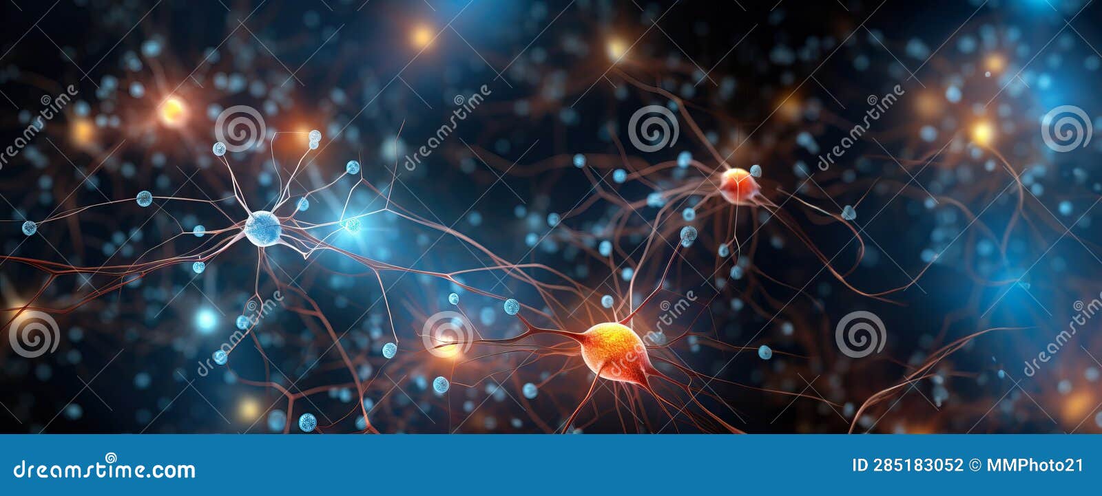 Neuron And Glial Cells Vector Illustration Diagram | CartoonDealer.com ... Neuron And Glial Cells Vector Illustration Diagram | CartoonDealer.com ...