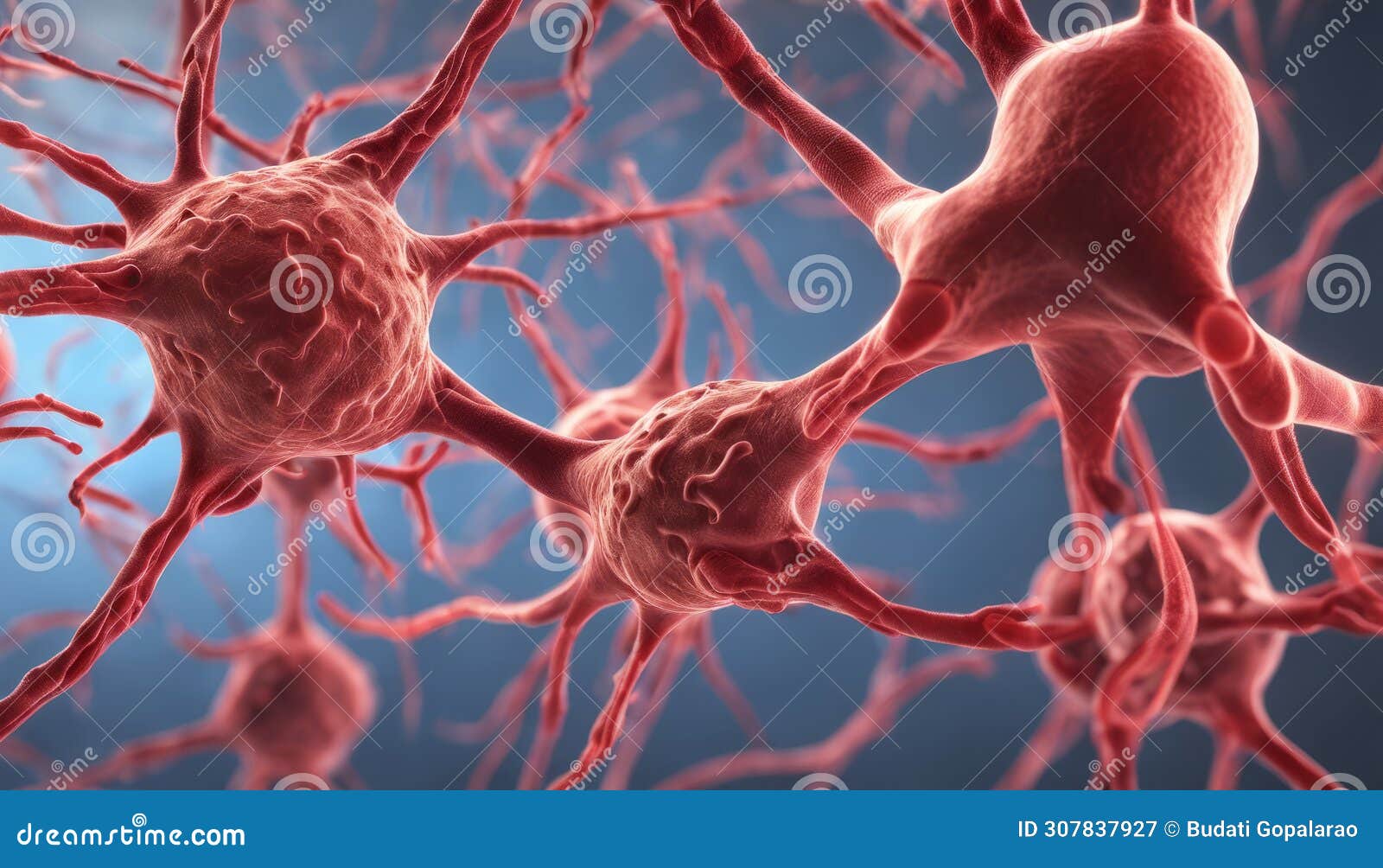 Neural Network - a Complex Web of Interconnected Neurons Stock ...