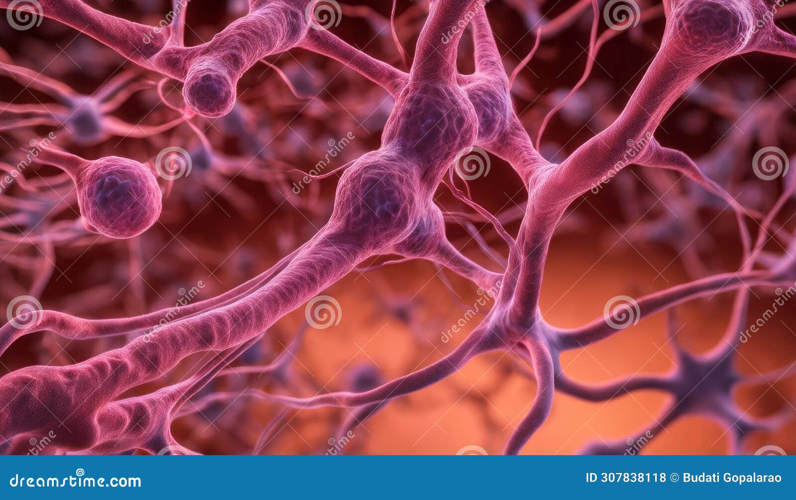 Neural Network - a Complex Web of Interconnected Neurons Stock ... Neural Network - a Complex Web of Interconnected Neurons Stock ...