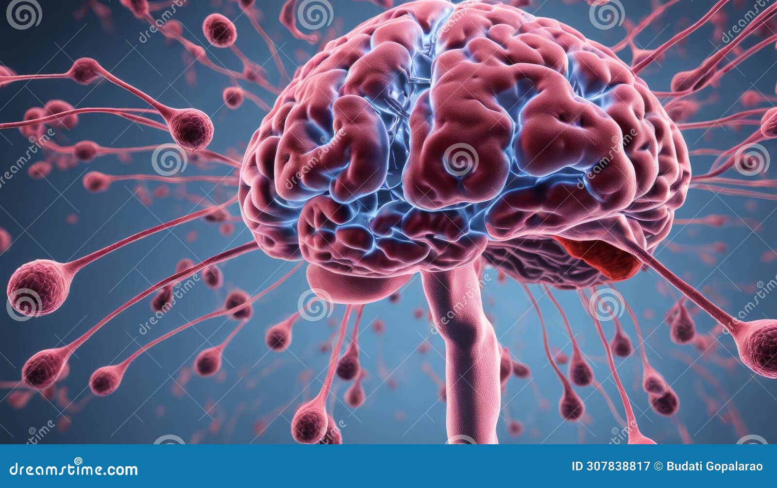 Neural Network - a Complex Web of Interconnected Neurons Stock ... Neural Network - a Complex Web of Interconnected Neurons Stock ...