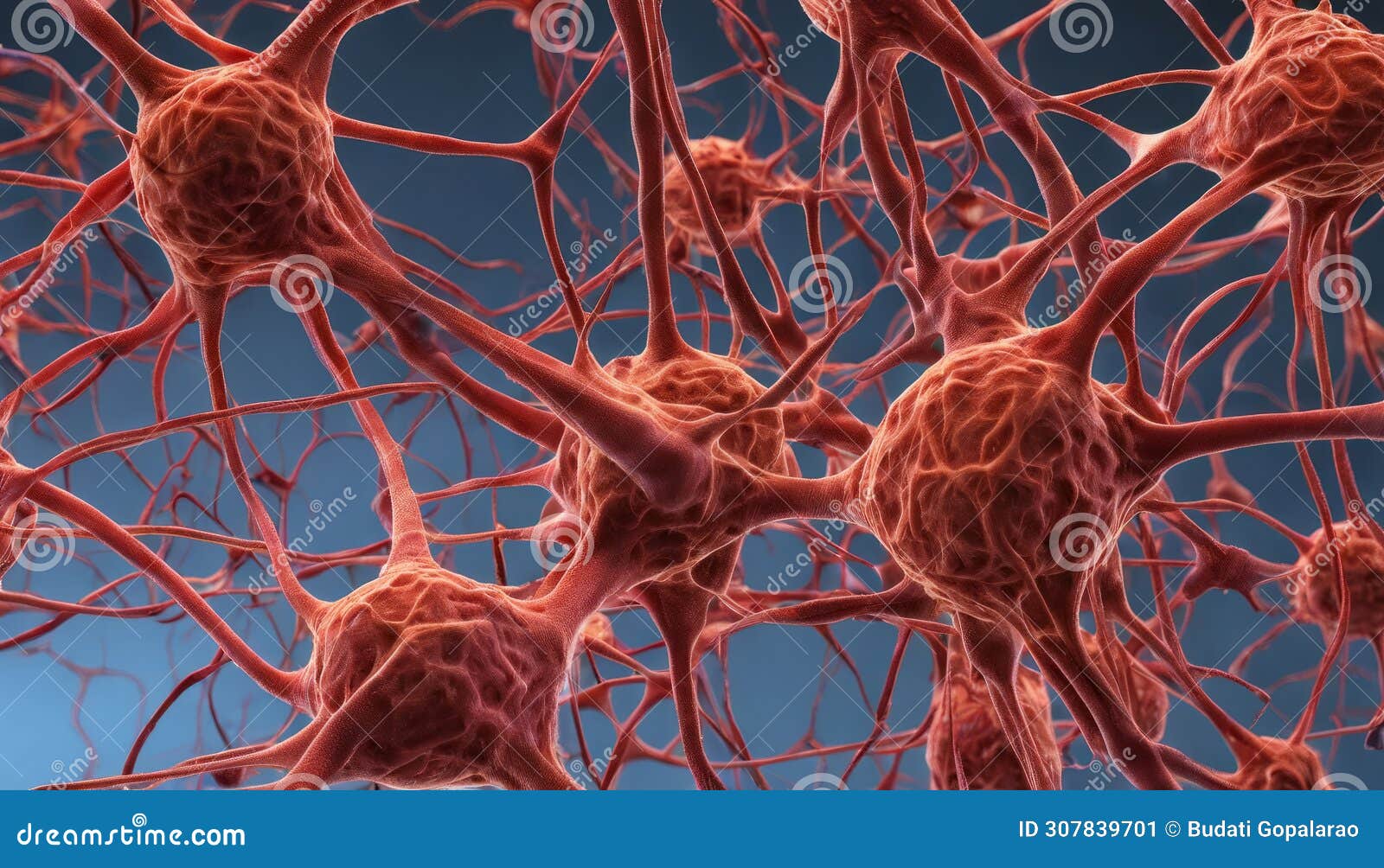 Neural Network - a Complex Web of Interconnected Neurons Stock ... Neural Network - a Complex Web of Interconnected Neurons Stock ...