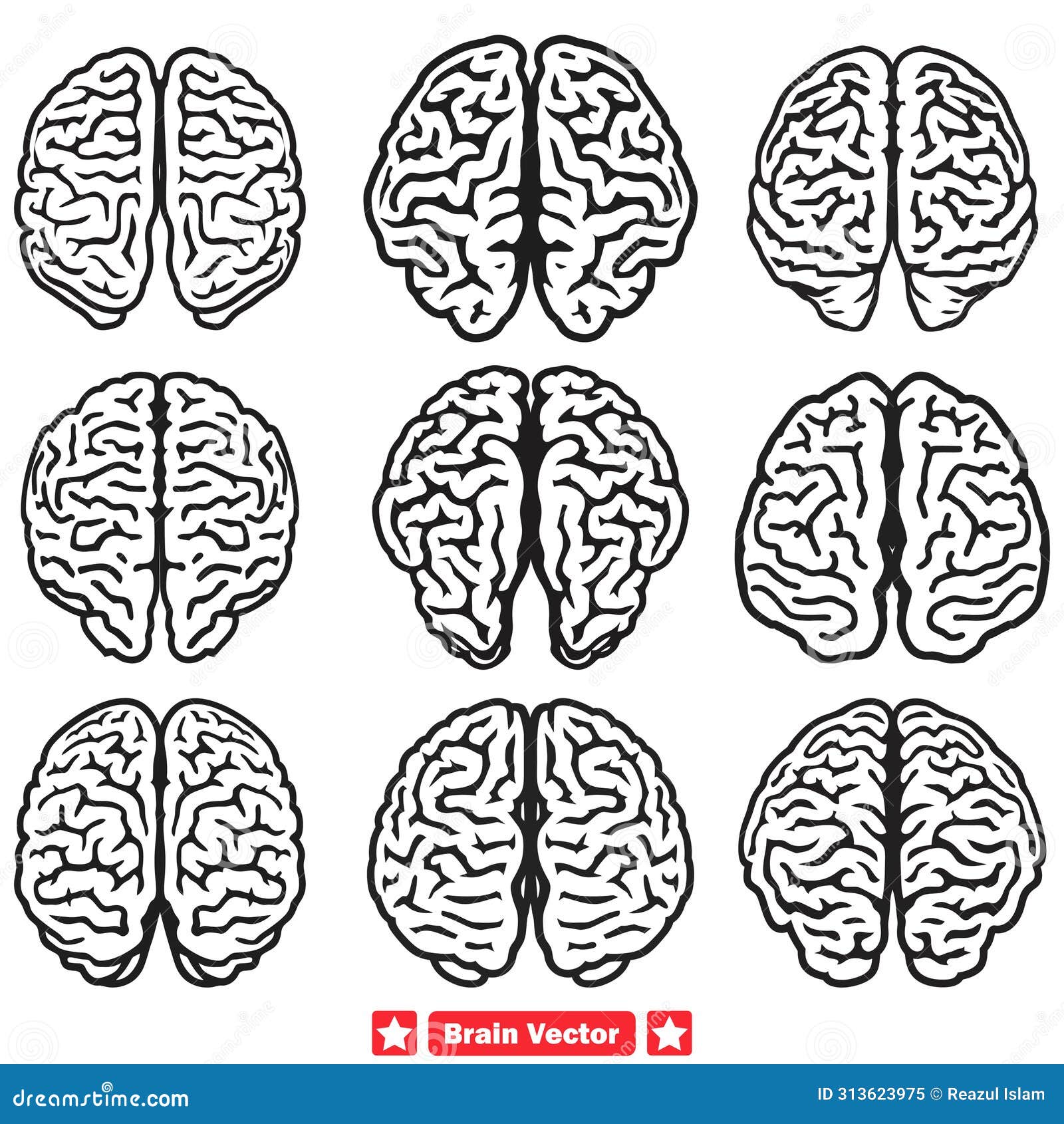 Neural Network Explorations Abstract Brain Vector Collection for ...