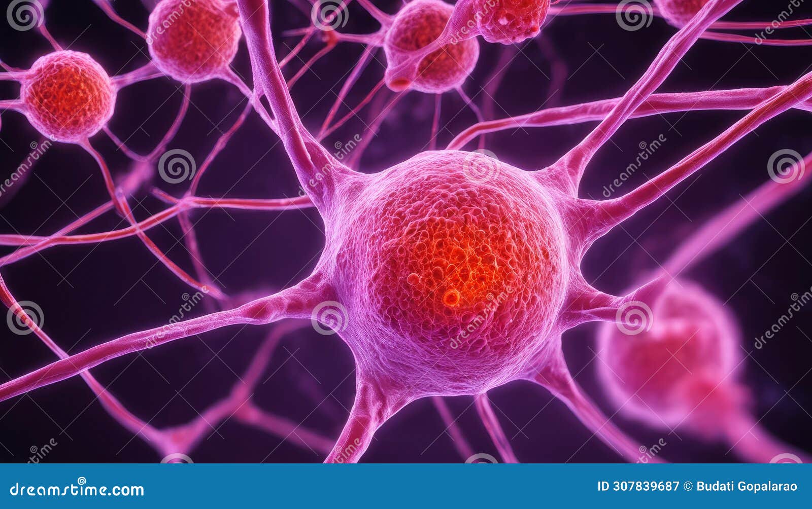 Neural Network with Glowing Synapses, Illustrating Brain Function and ...