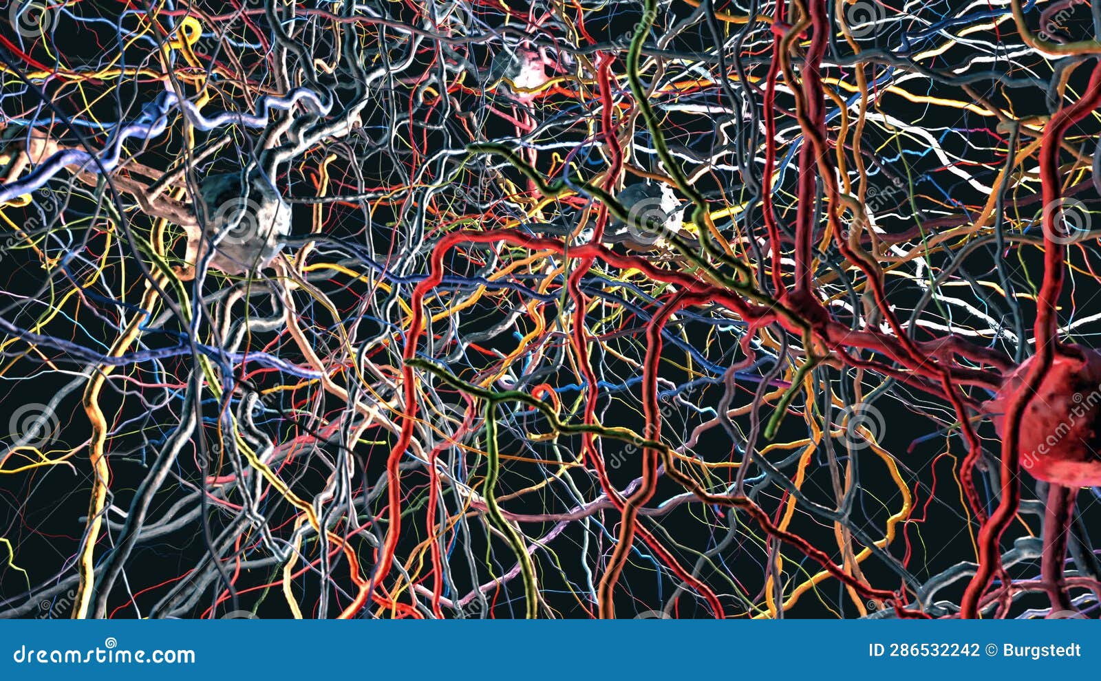 A Neural Network with Neuronal Connections Transmitting Synapses ...