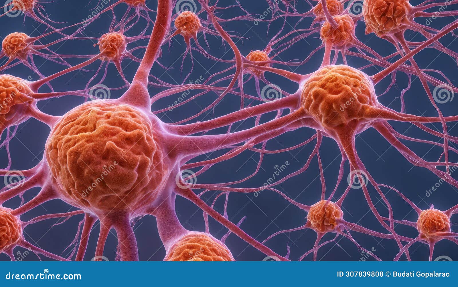 Neural Network with Synapses and Dendrites, Illustrating Complex Brain ...