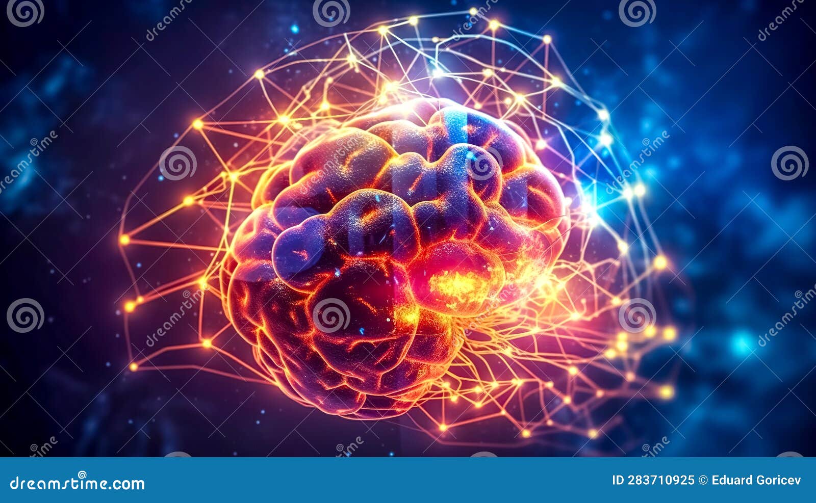 Neural Networks in the Brain, Neon Lights, Thinking and Intelligence ...