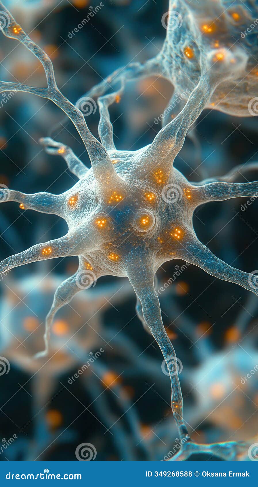 Neural Networks Complex Interconnected Patterns Inspired by Brain ... Neural Networks Complex Interconnected Patterns Inspired by Brain ...
