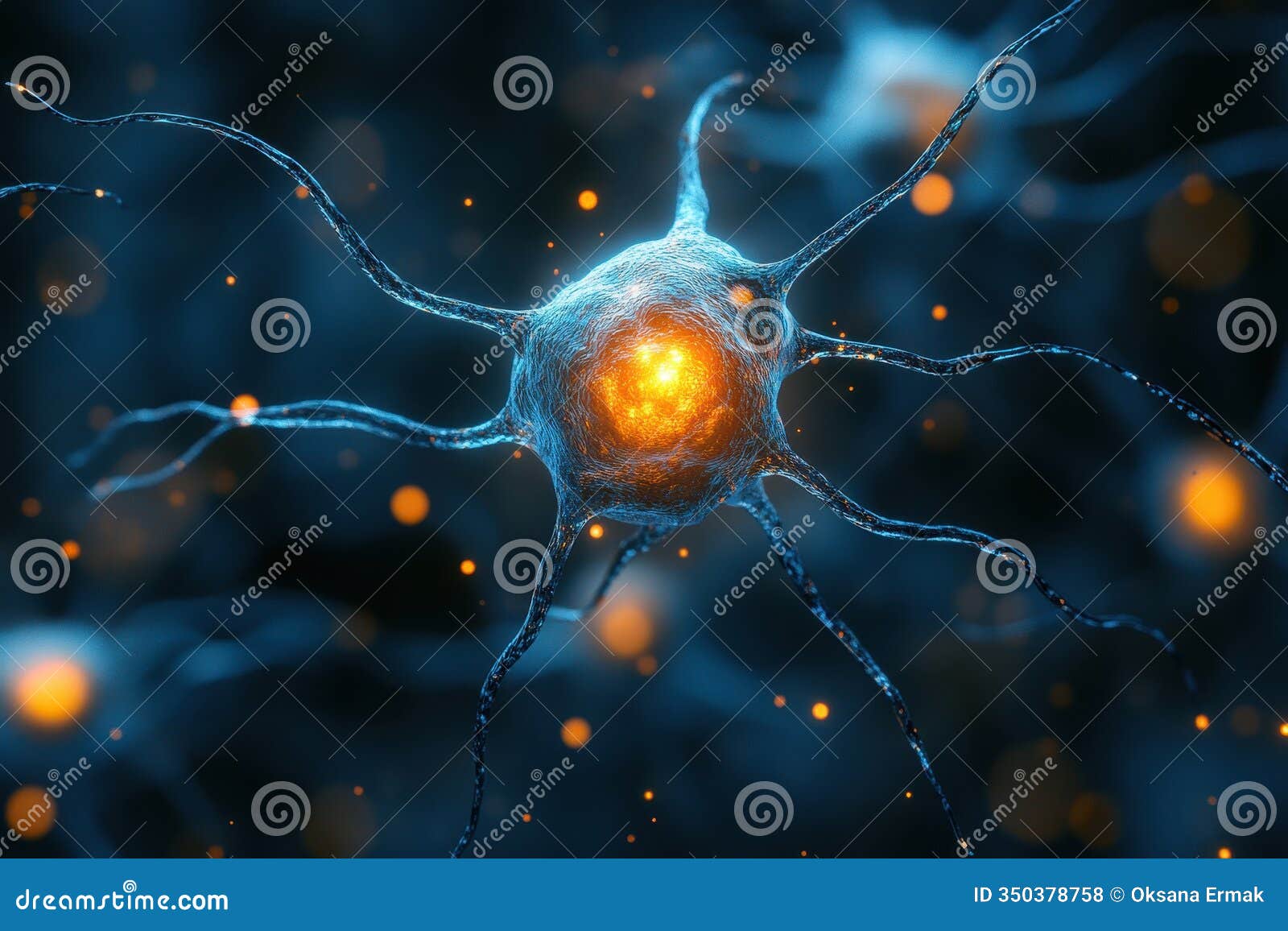 Neural Networks Complex Interconnected Patterns Inspired by Brain ... Neural Networks Complex Interconnected Patterns Inspired by Brain ...