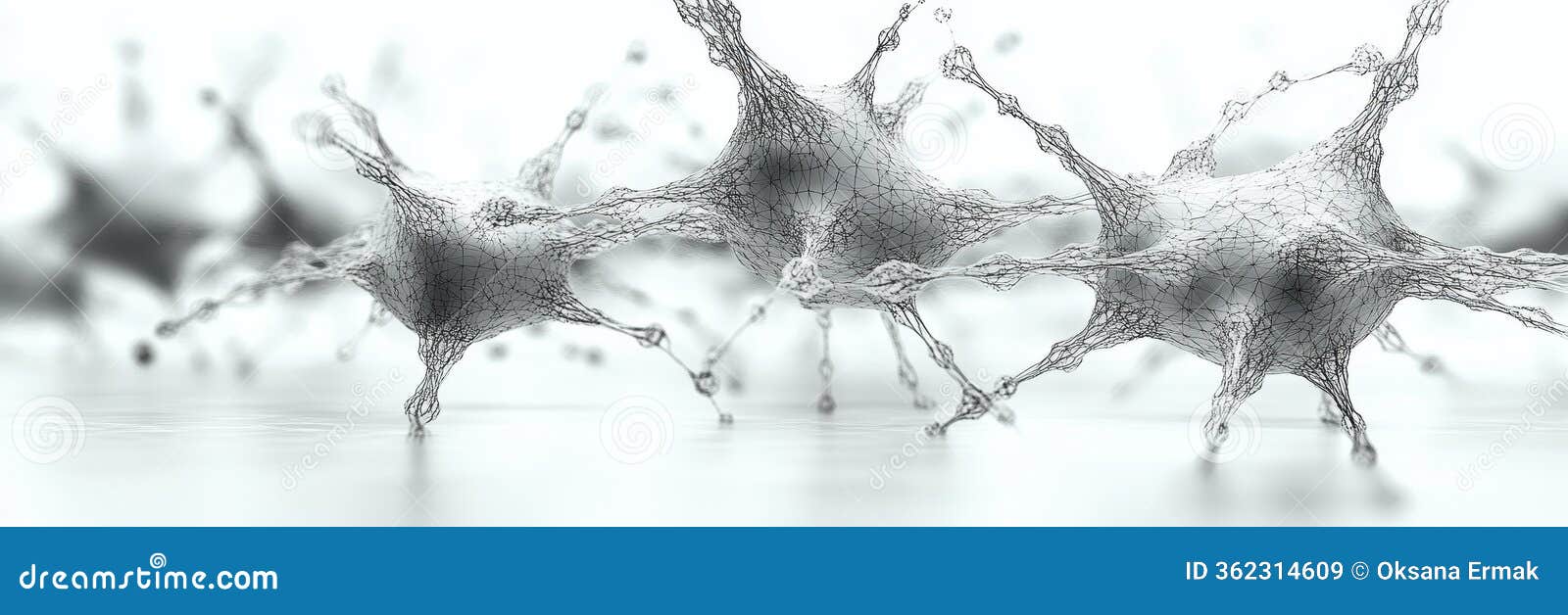 Neural Networks Complex Interconnected Patterns Inspired by Brain ... Neural Networks Complex Interconnected Patterns Inspired by Brain ...