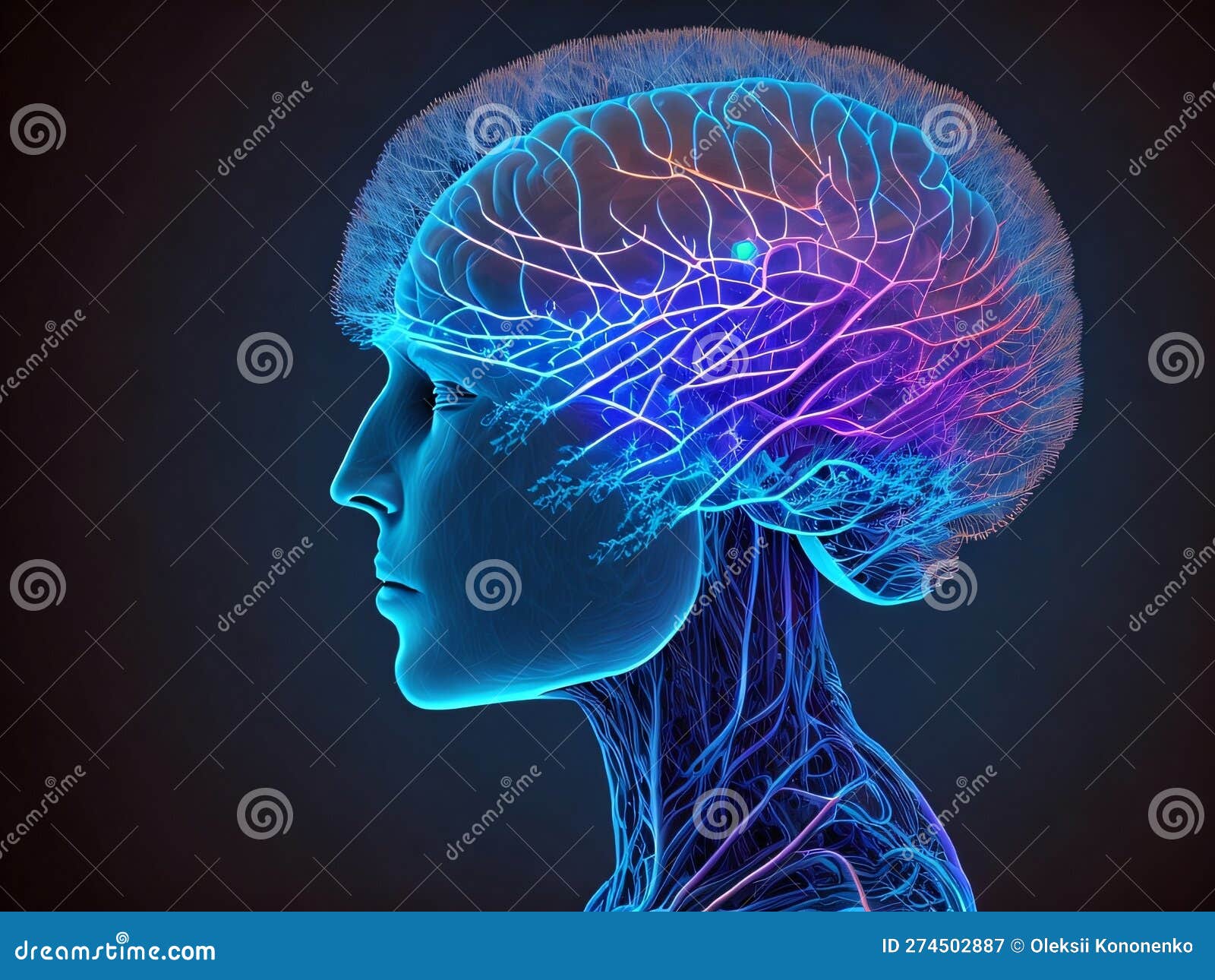 Neural Networks in the Human Brain. Electronic Impulses in the Head ...