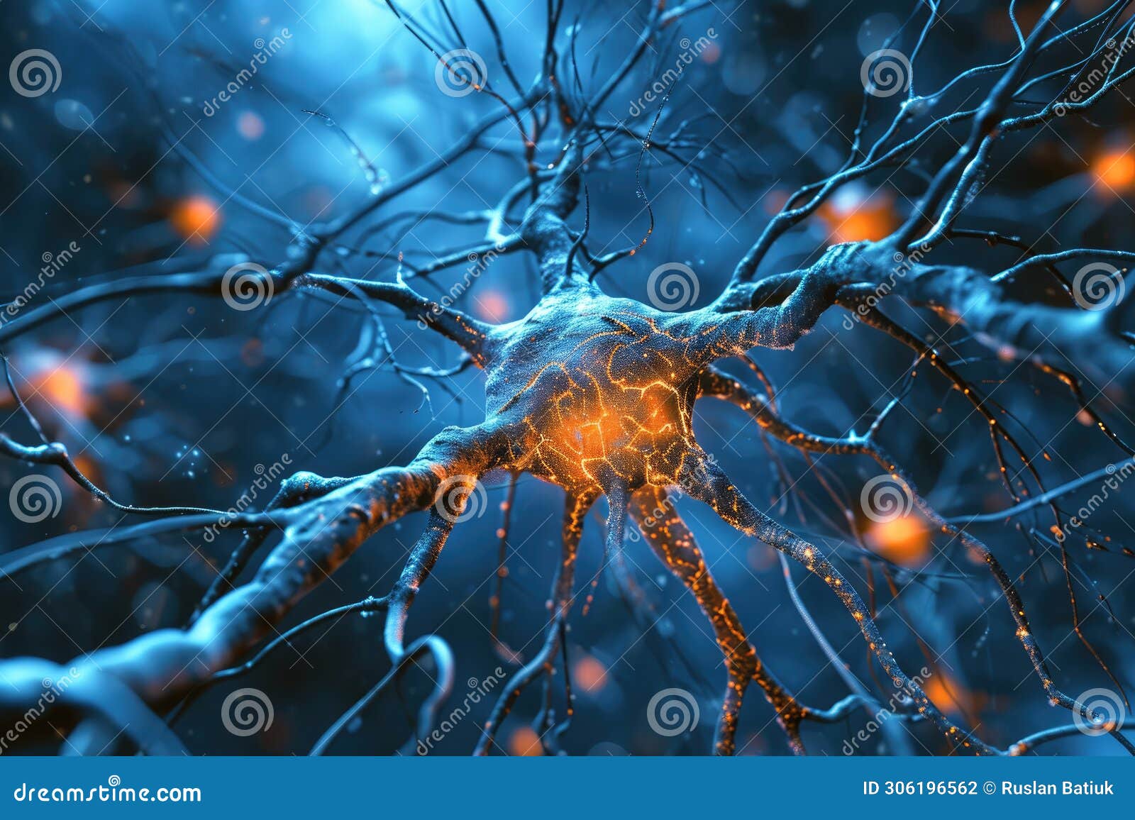 Neural Networks Weave through the Brain, Resembling a Complex Web of ...