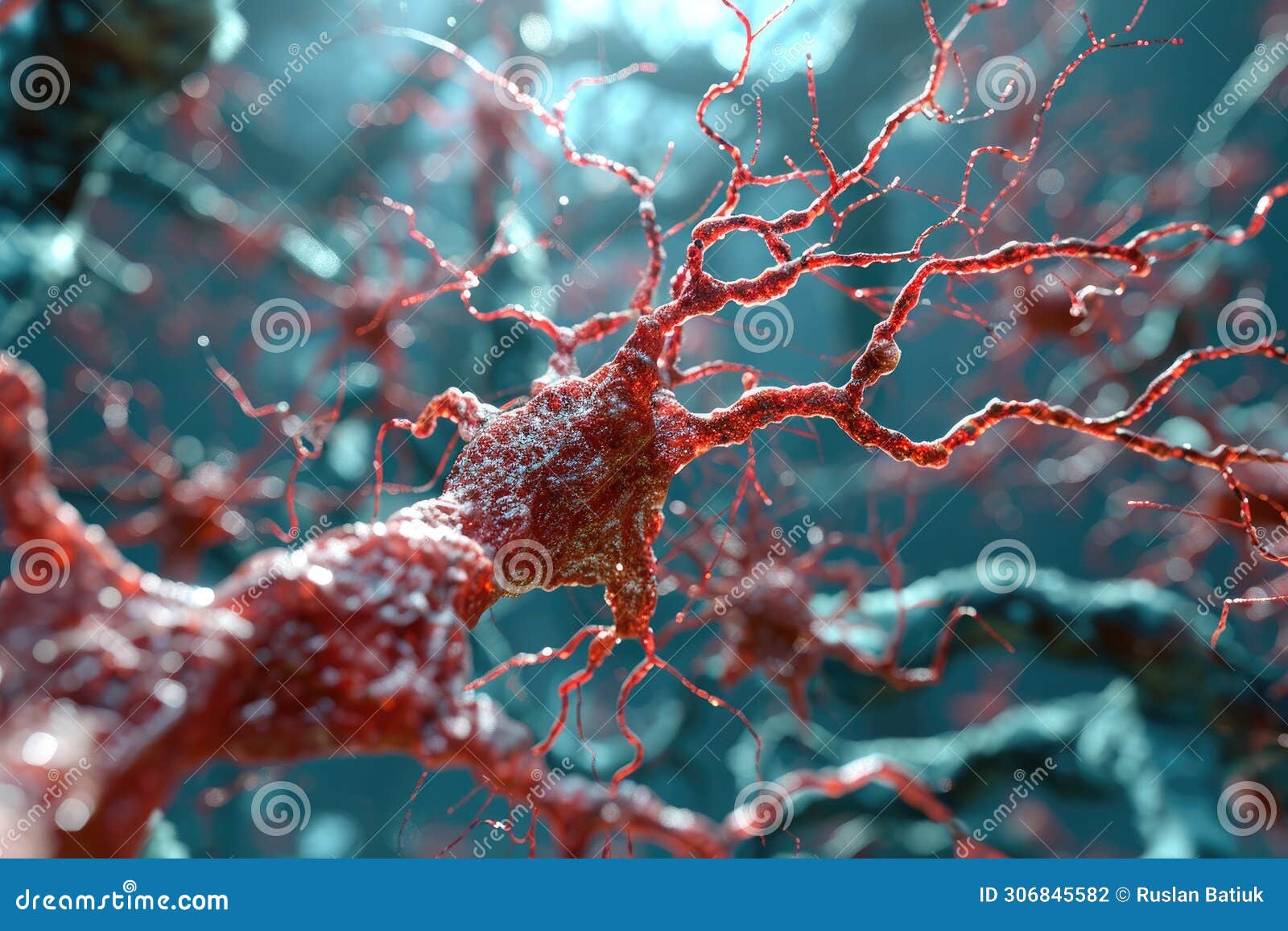 Neural Networks Weave through the Brain, Resembling a Complex Web of ...