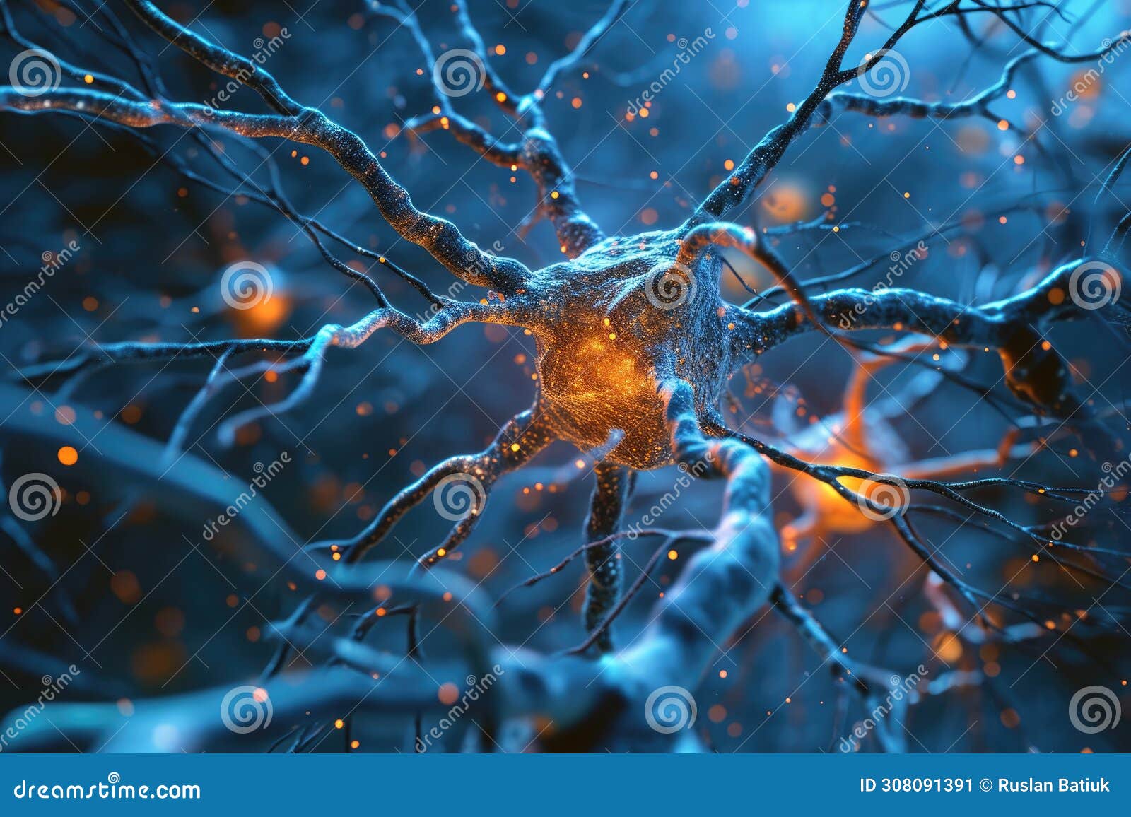 Neural Networks Weave through the Brain, Resembling a Complex Web of ...