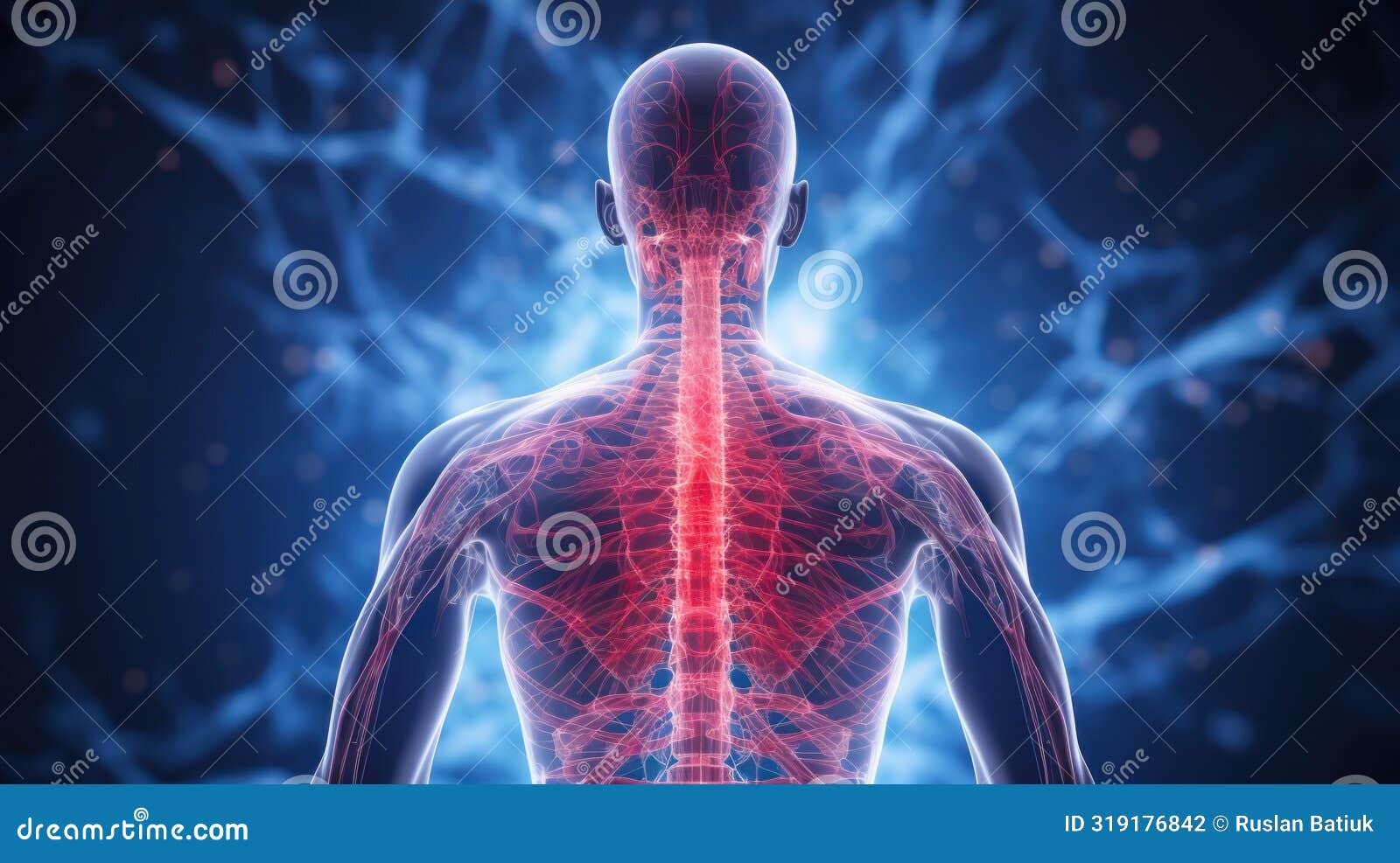 Neural Pathways: Nervous System - Delving into the Pathways of ...