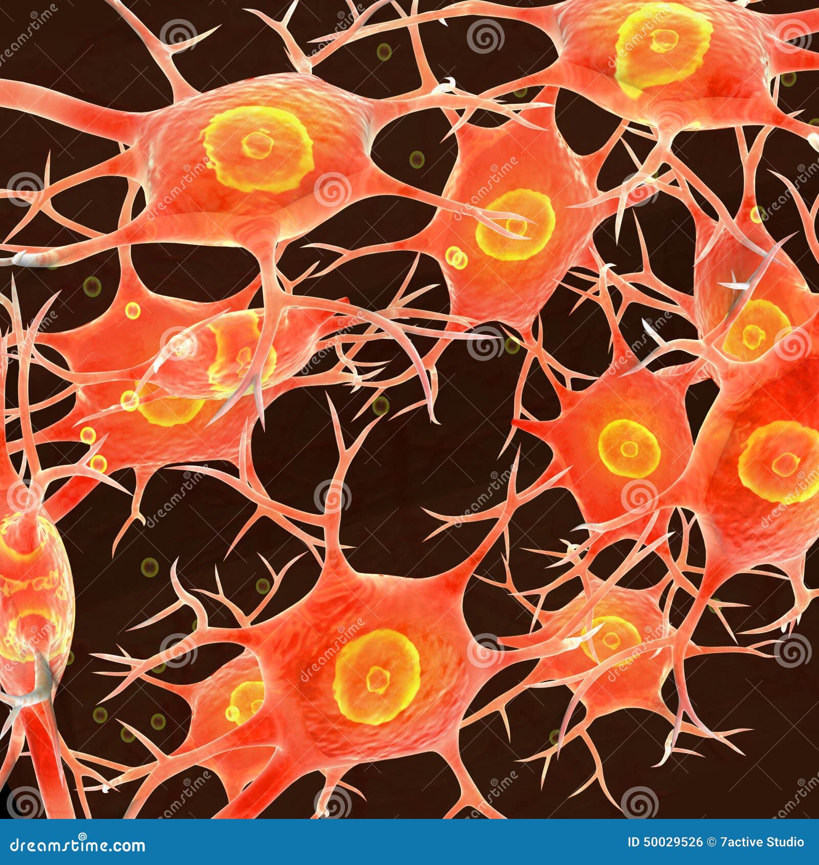 Brain Nervous Tissue