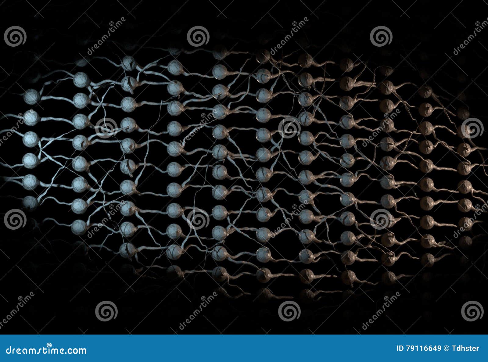 Neurales Netz Neuronnetz Tief Lernend Abbildung 3D Stock Abbildung ...