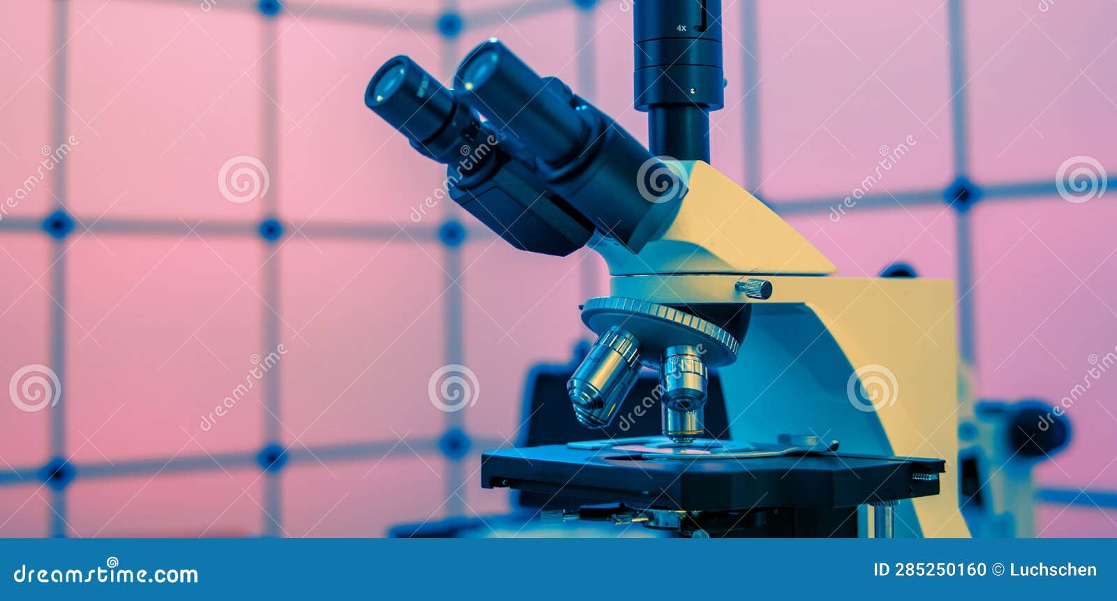 Neurobiology: Optical Microscopes are Used To Investigate the Structur ... Neurobiology: Optical Microscopes are Used To Investigate the Structur ...