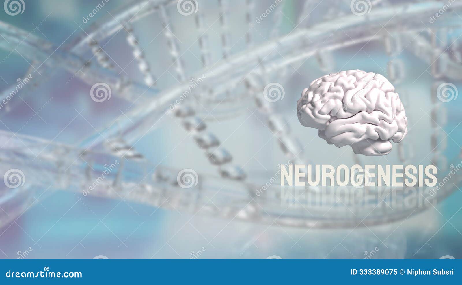 The Brain and Neurogenesis Text for Sic or Health Concept 3d Rendering ...