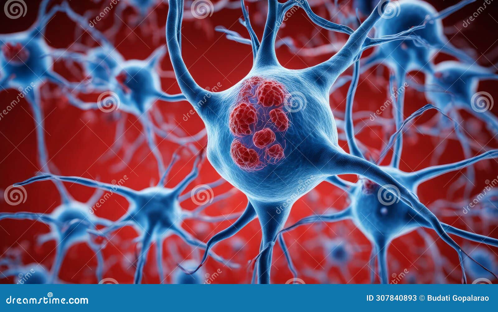 Neurological Cells in a Network, with a Focus on a Single Neuron Stock ...