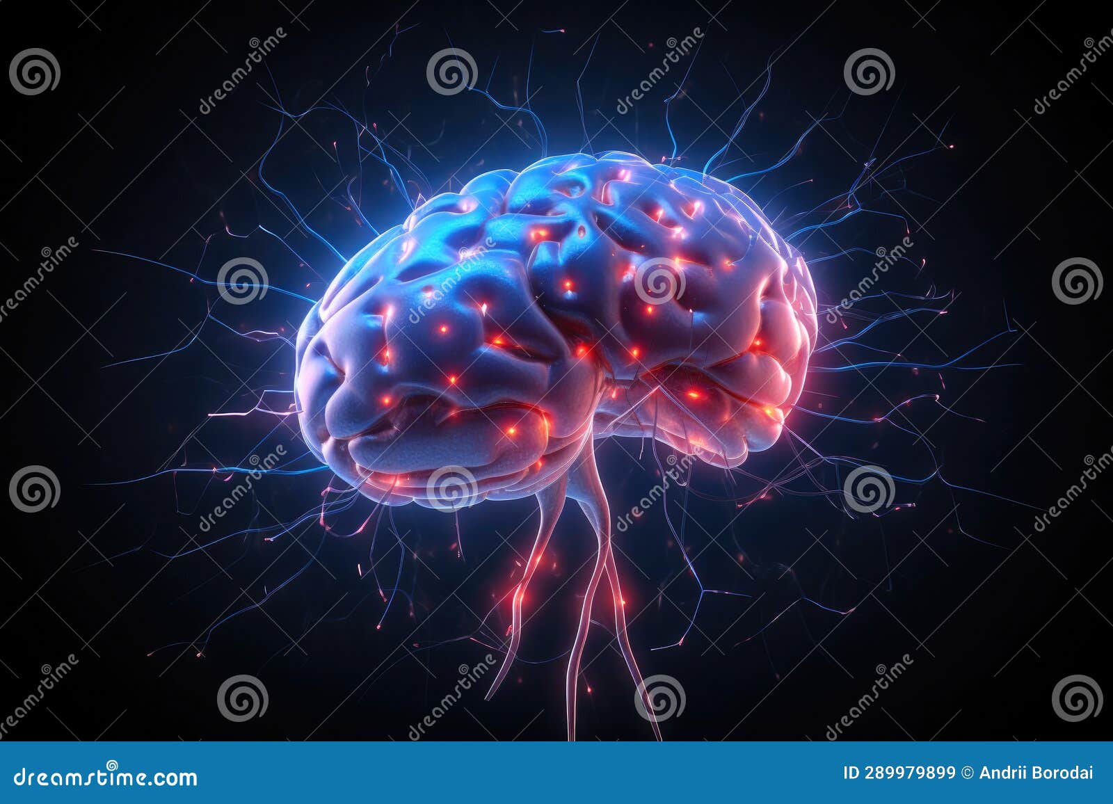 Neurological Marvel: 3D Brain Structure and Connections. Stock ...