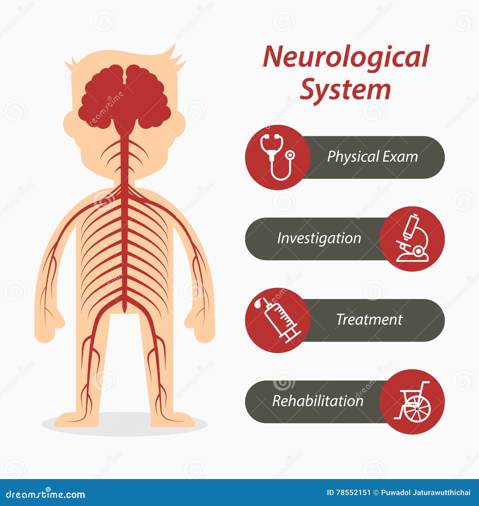 Neurological System and Medical Line Icon Stock Vector - Illustration ...