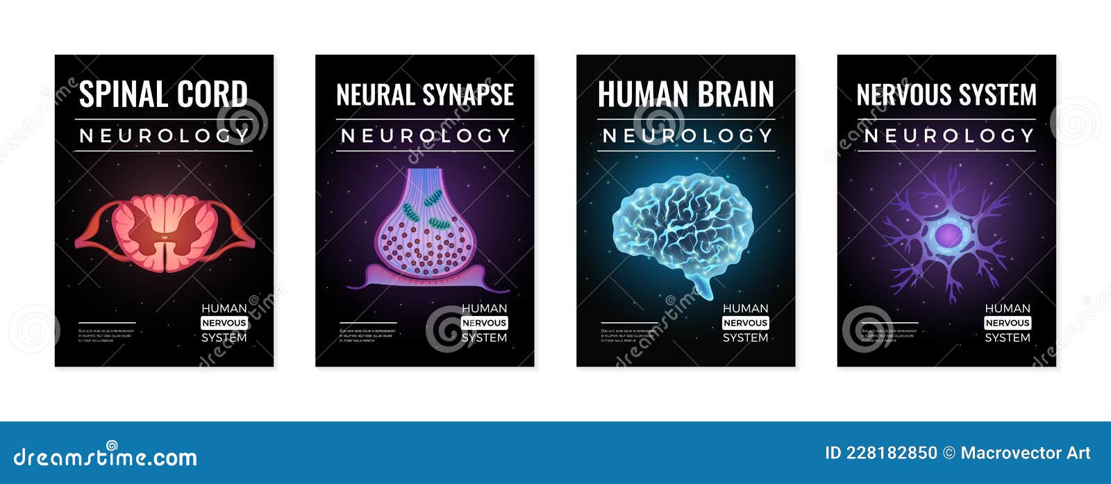 Neurology Banners Collection Of Four Vertical Compositions With ...
