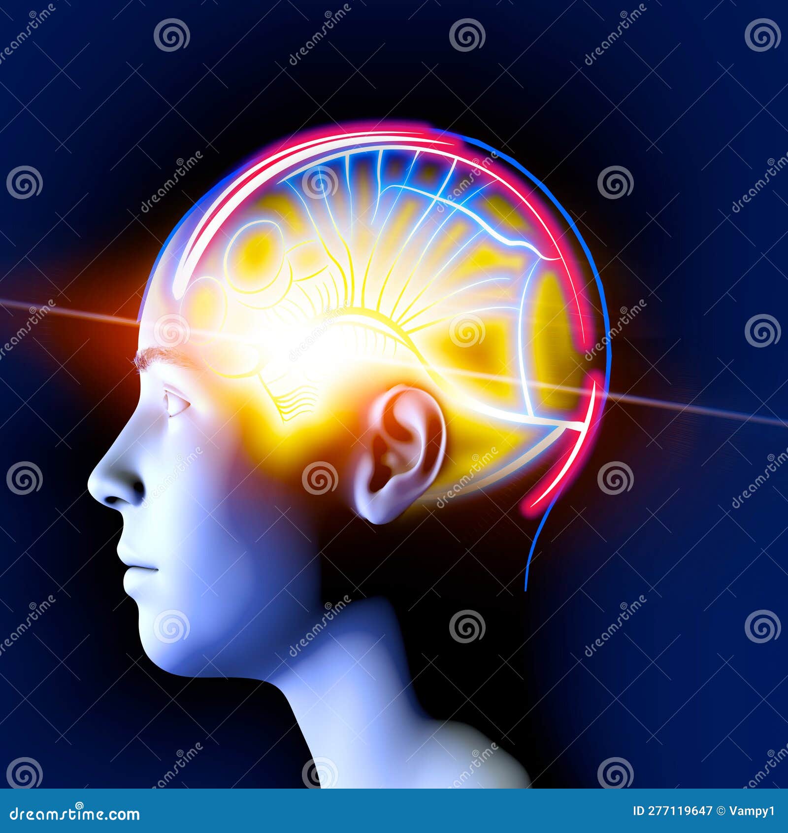 Neurology, Philosophy: Connections, the Development of Thought and ...