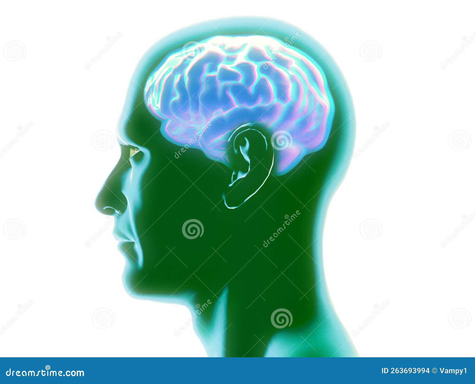 Neurology, Philosophy: Connections, the Development of Thought and ...