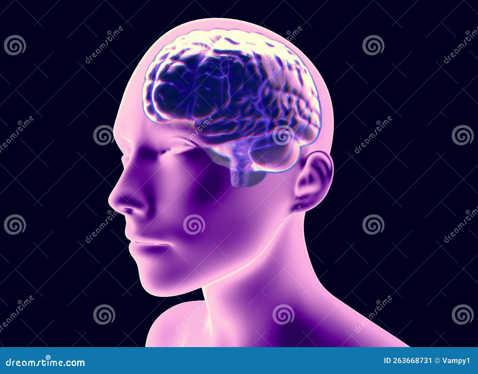 Neurology, Philosophy: Connections, the Development of Thought and ...