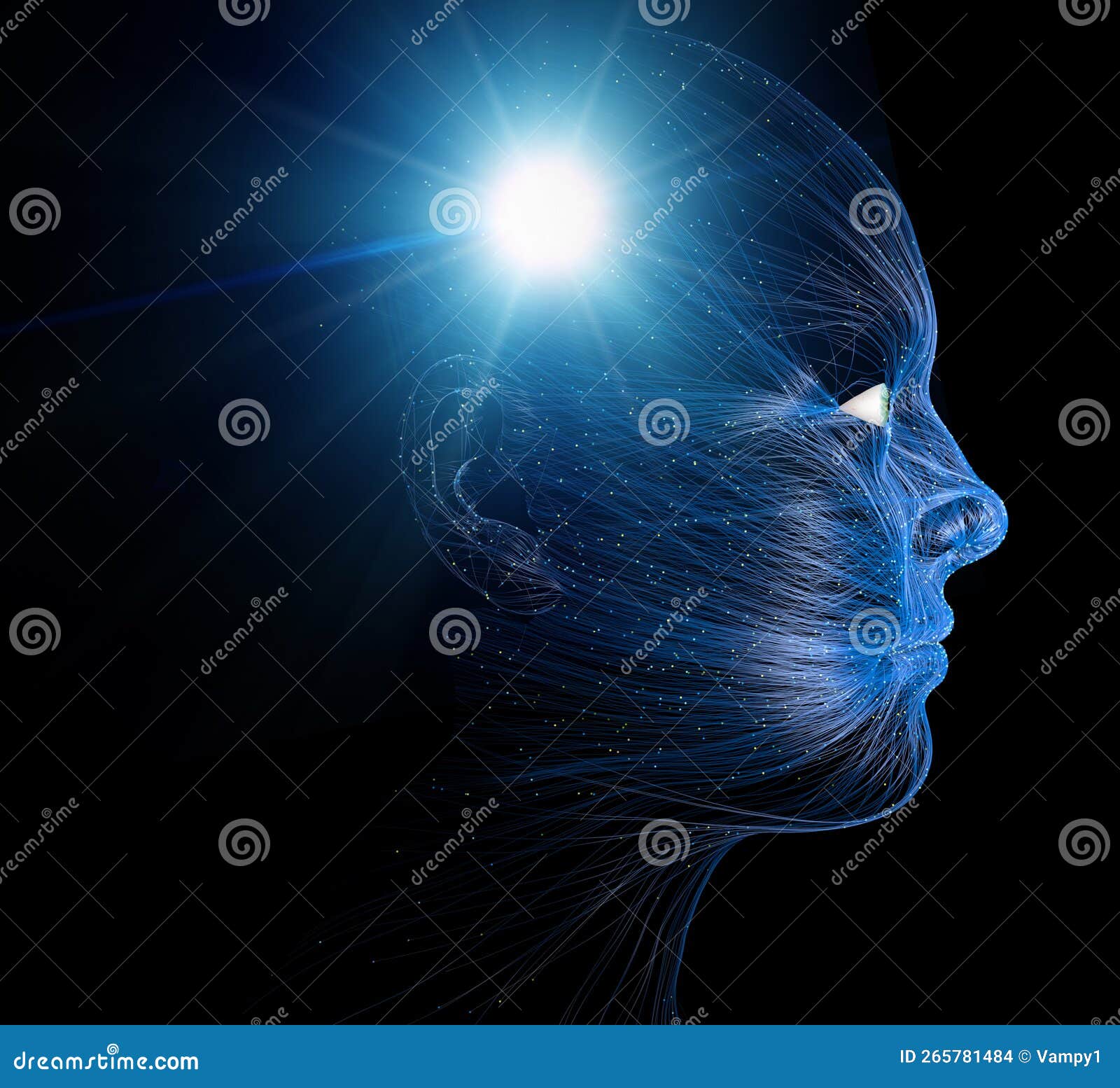 Neurology, Philosophy: Connections, The Development Of Thought And ...