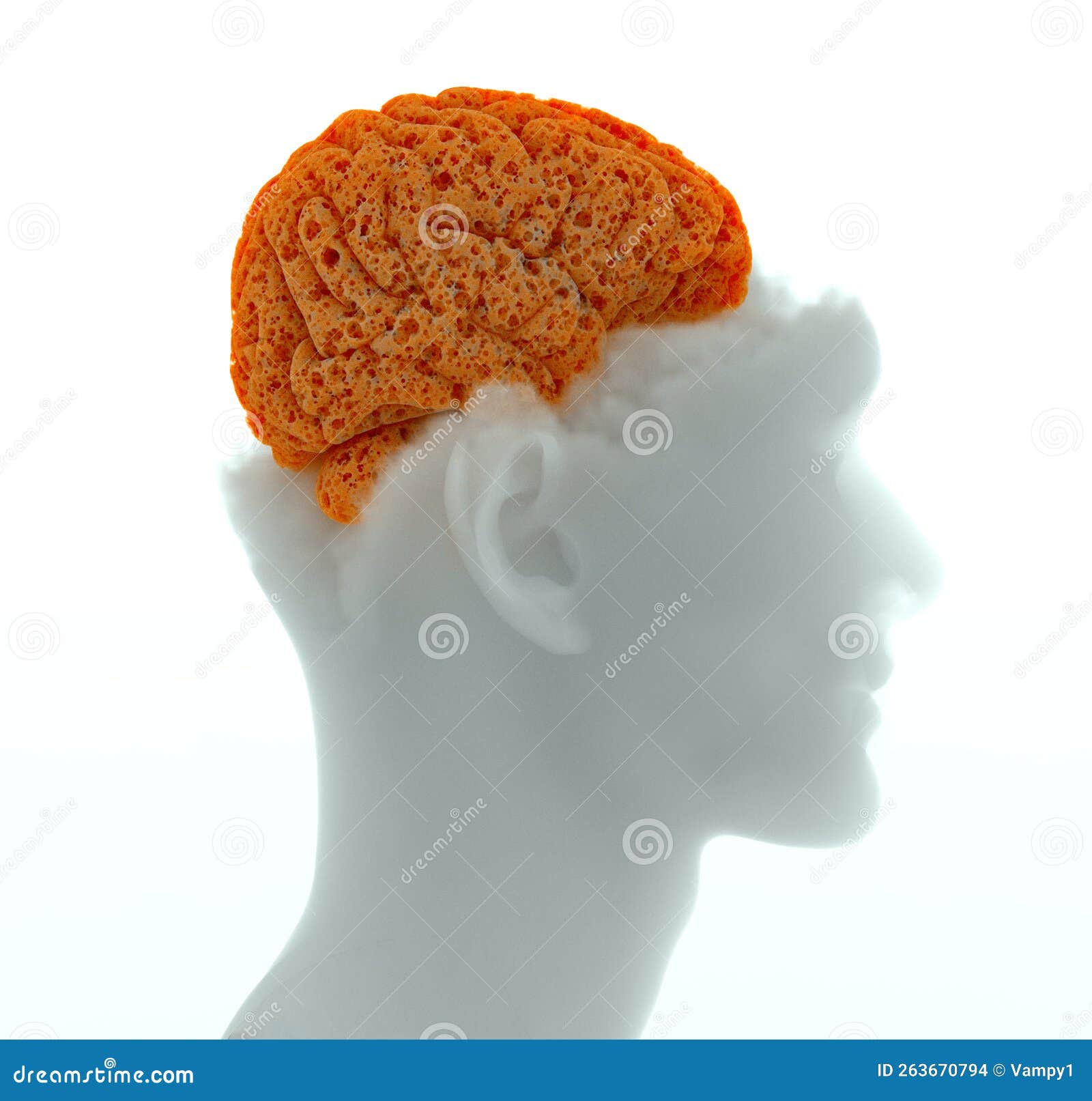 Neurology, Philosophy, the Development of Thought and Reflection. Brain ...