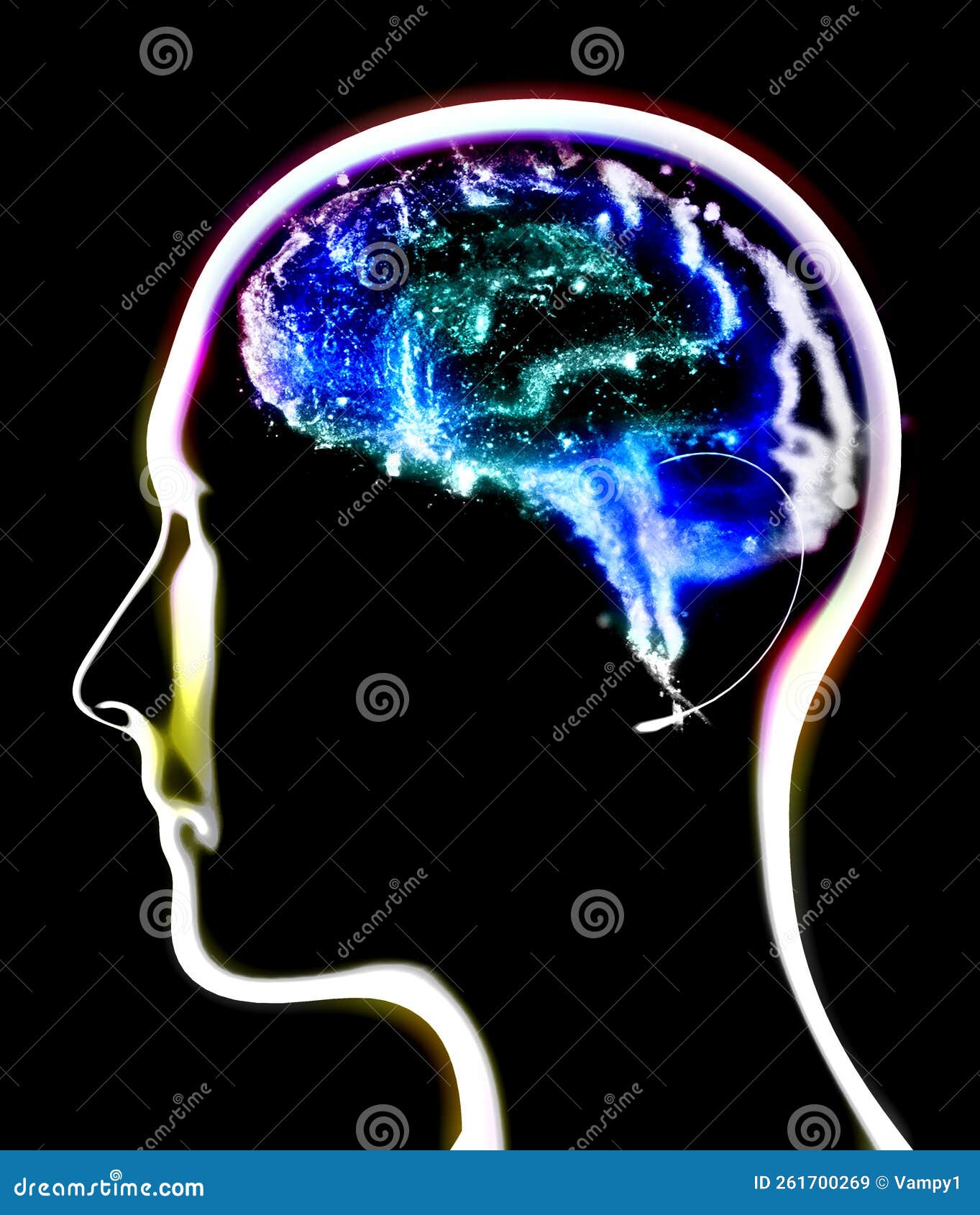 Neurology, Philosophy, Medicine of the Future: Neural Connections, the ...