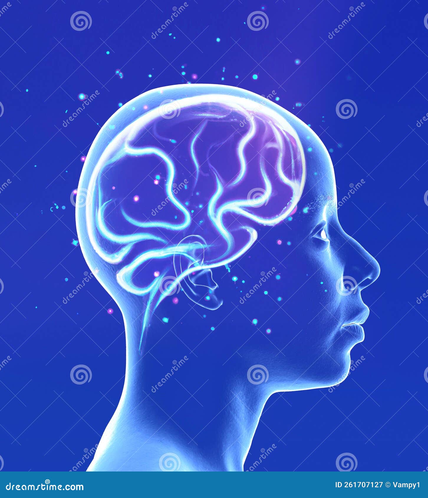 Neurology, Philosophy, Medicine of the Future: Neural Connections, the ...