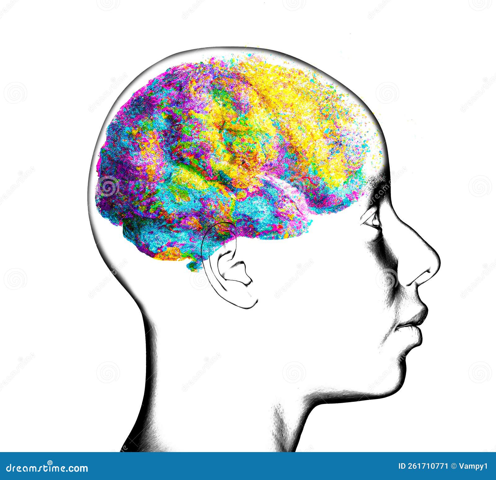 Neurology, Philosophy: Connections, The Development Of Thought And ...