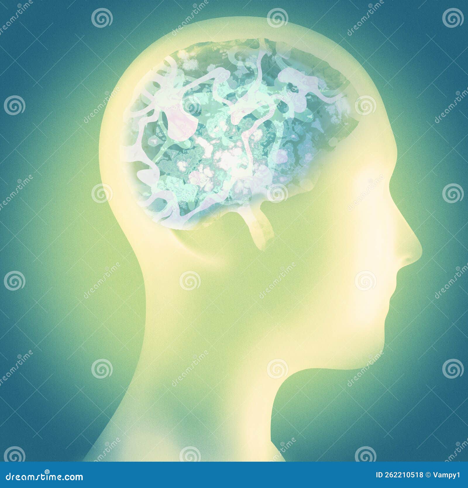 Neurology, Philosophy, Medicine of the Future: Neural Connections, the ...