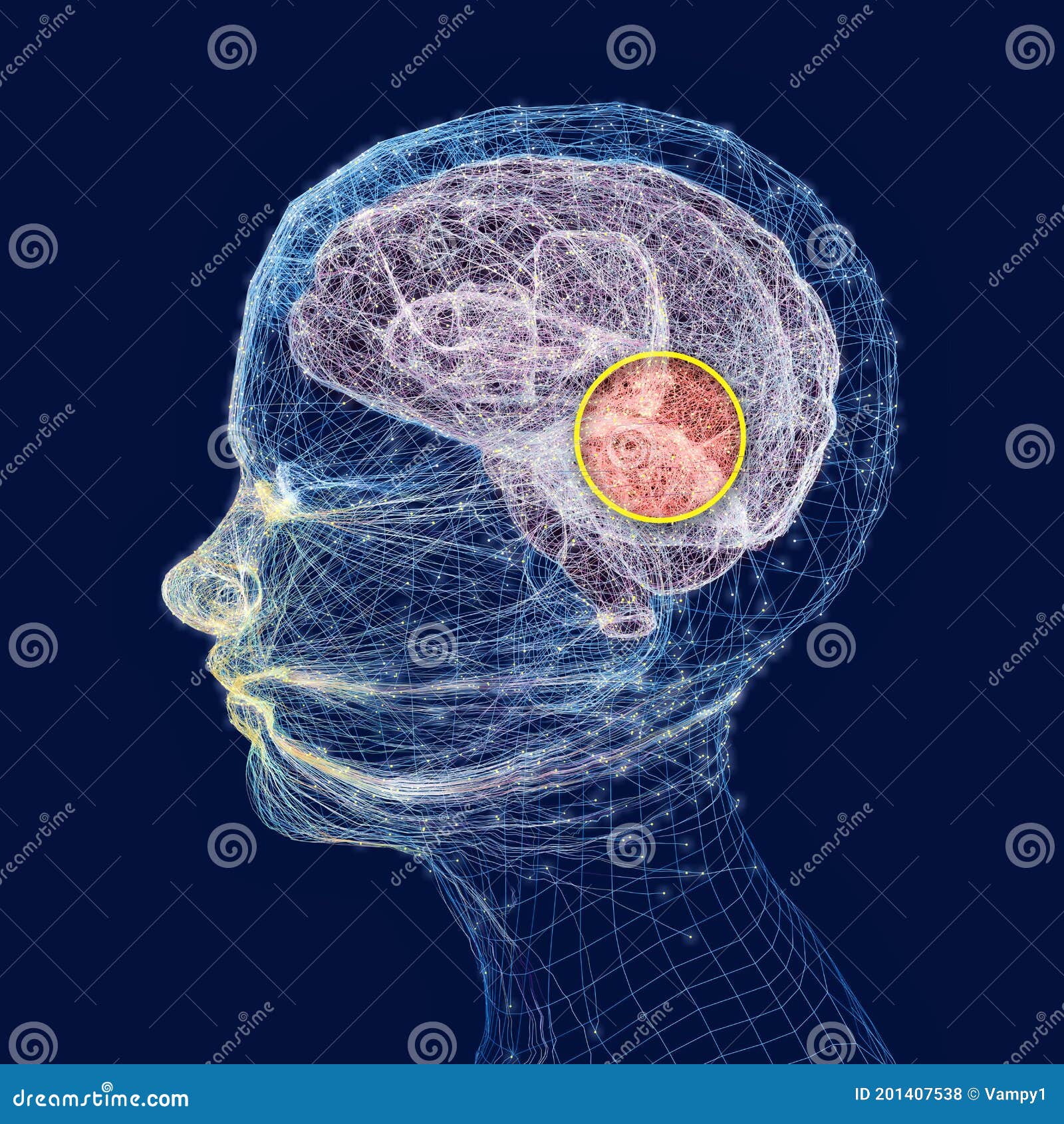 Brain Development in Children and Teens. Stimuli and Ideas. How Neurons ...