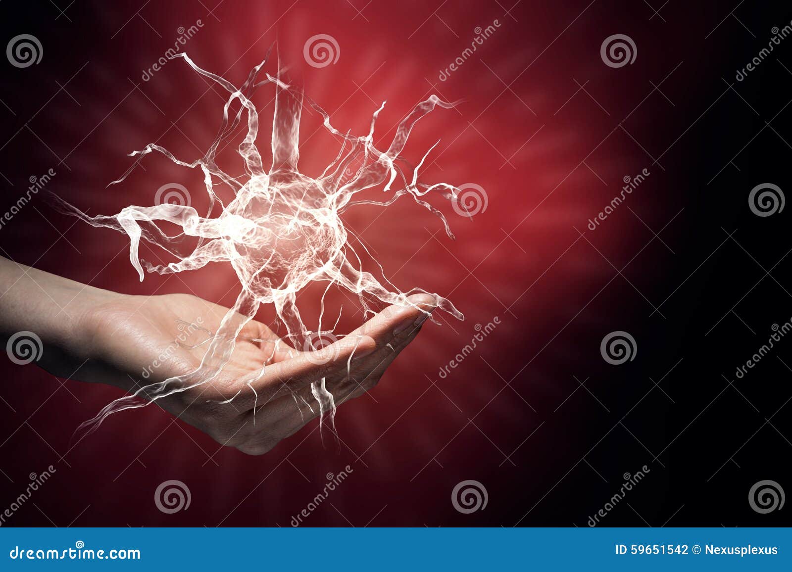 Neurology study stock photo. Image of work, symbol, nerve - 59651542